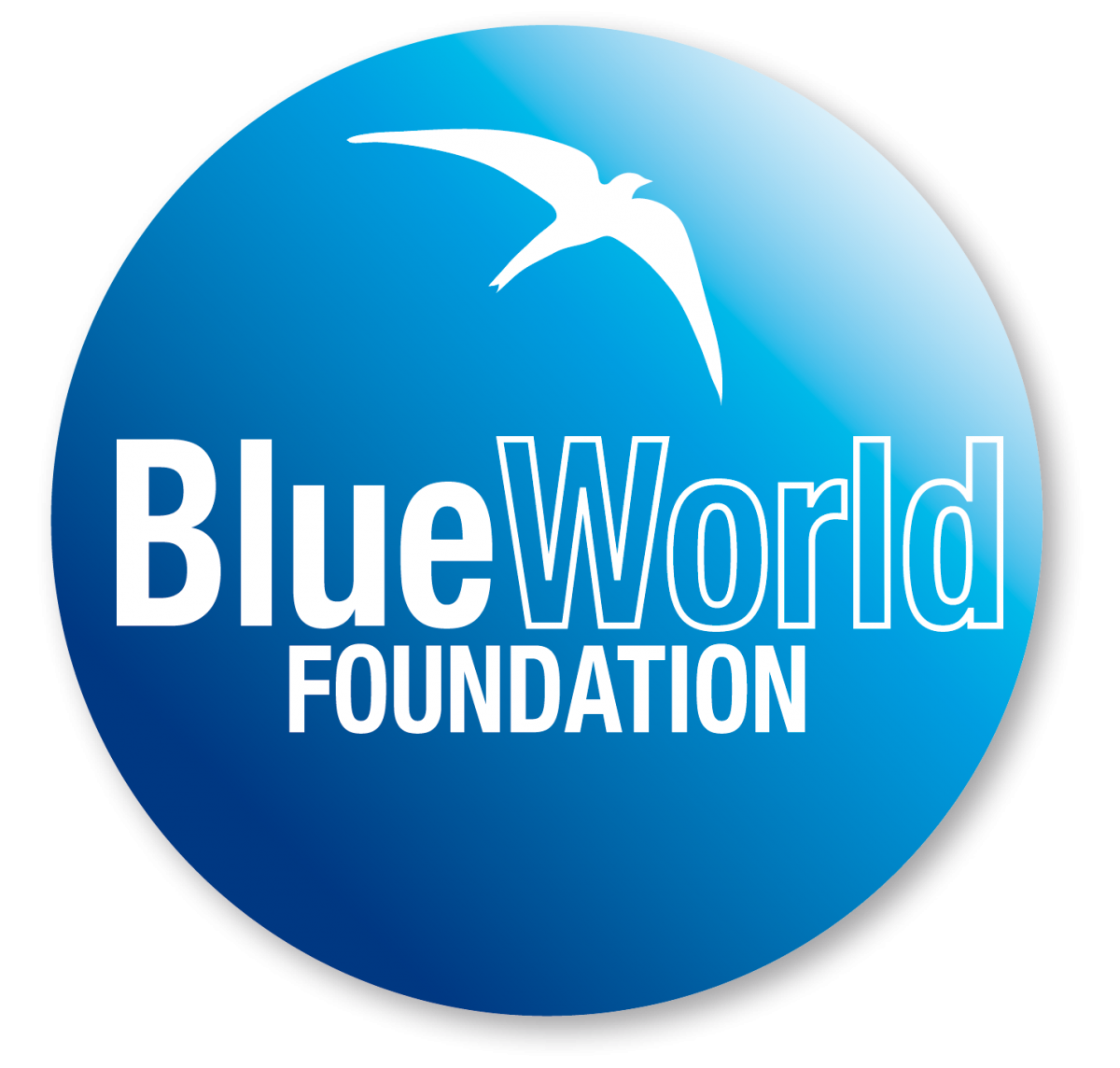 modèleblueconstruction – BlueWorld Foundation